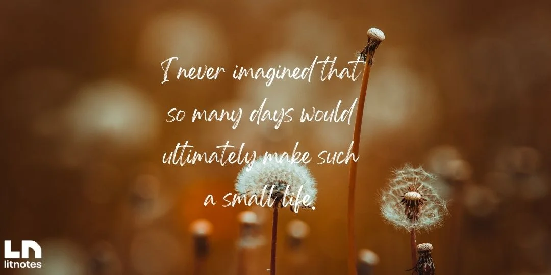 Top 5 Inspiring Small Life Quotes to Boost Your Daily routine - LitNotes